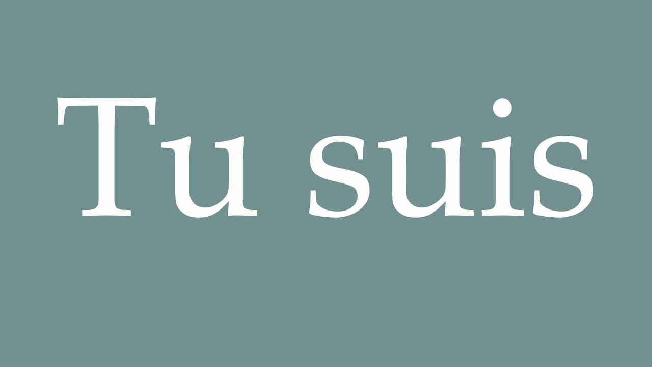 How to Pronounce ''Tu suis'' (You follow) Correctly in French - YouTube