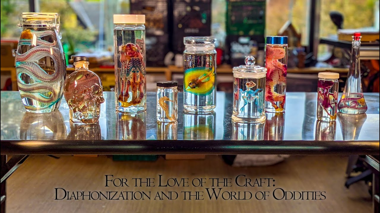 For the Love of the Craft: Diaphonization & the World of Oddities - YouTube
