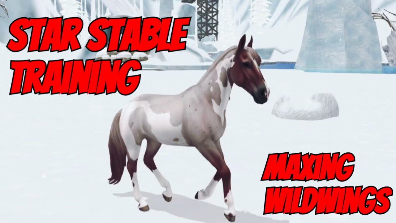 Maxing WildWings | A Star Stable Training Video - YouTube