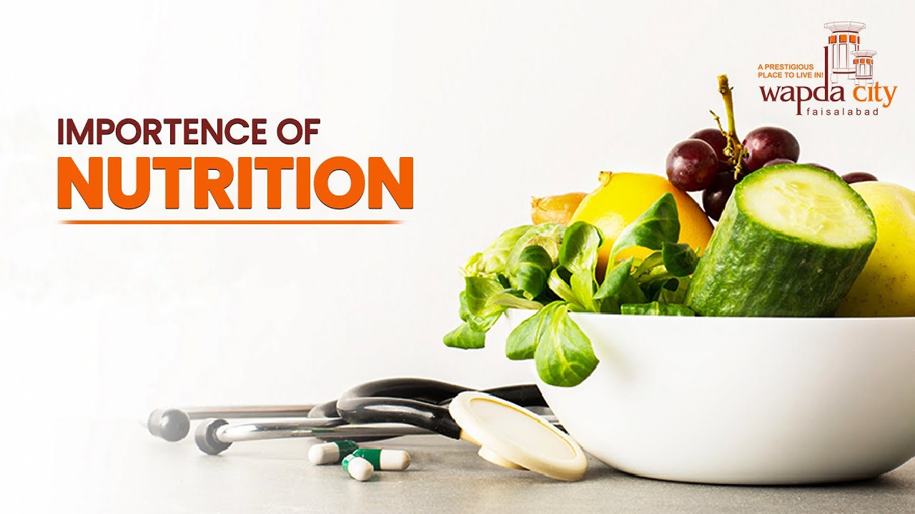 Nutrition Camp at Wapda City - YouTube