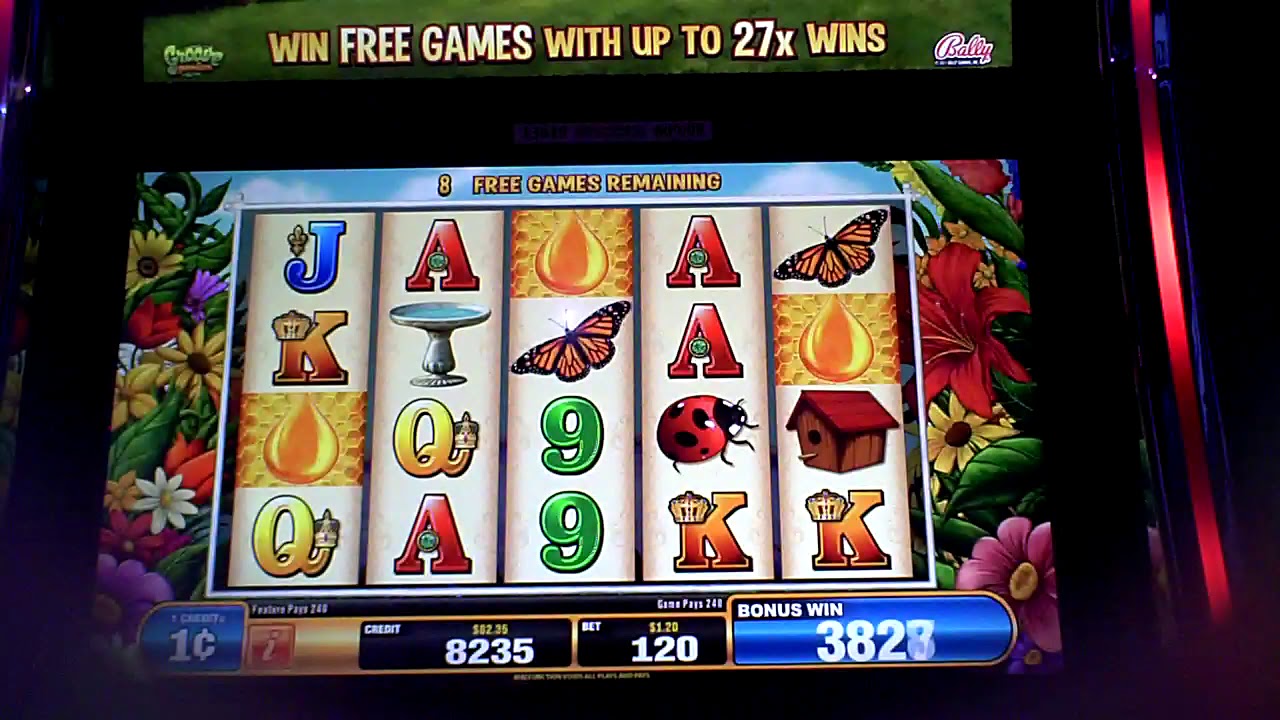 Hummingbird Honey Slot Machine Bonus - YouTube