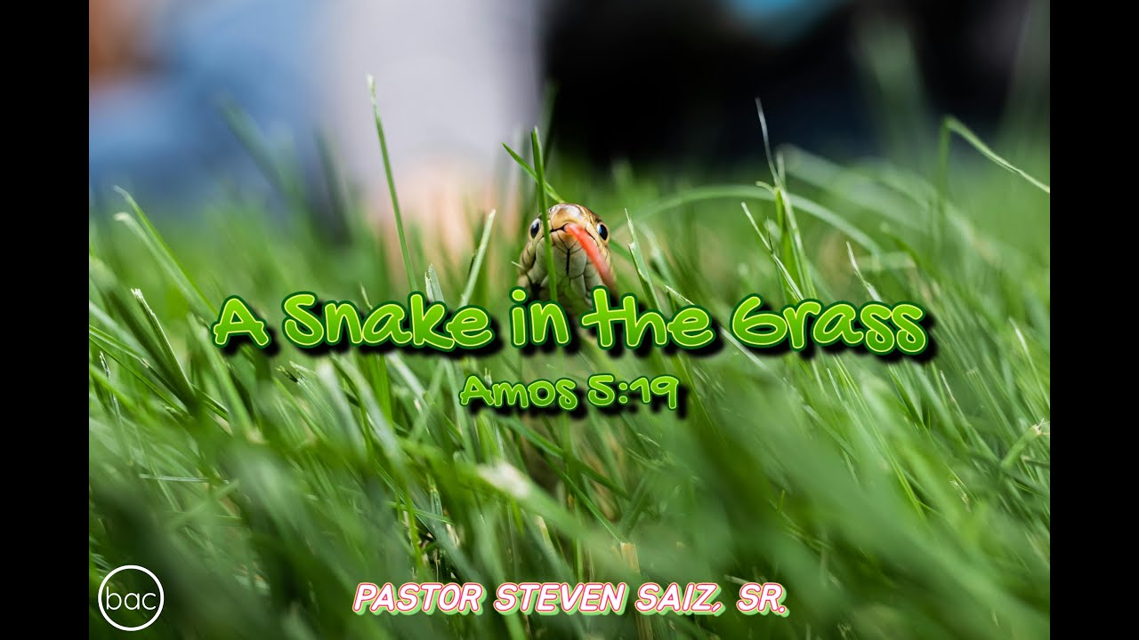 A Snake in the Grass, Pastor Steven Saiz, Sr. - YouTube