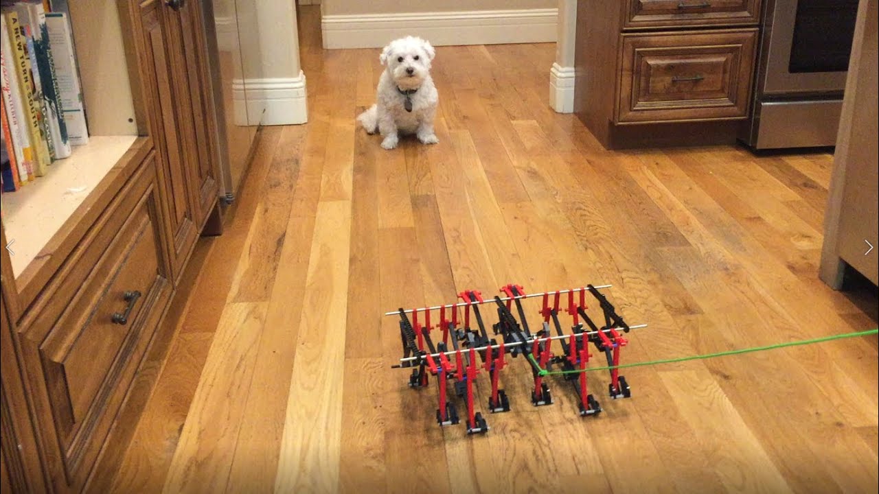 Passive Walking Test of Strider Linkage v7 - YouTube