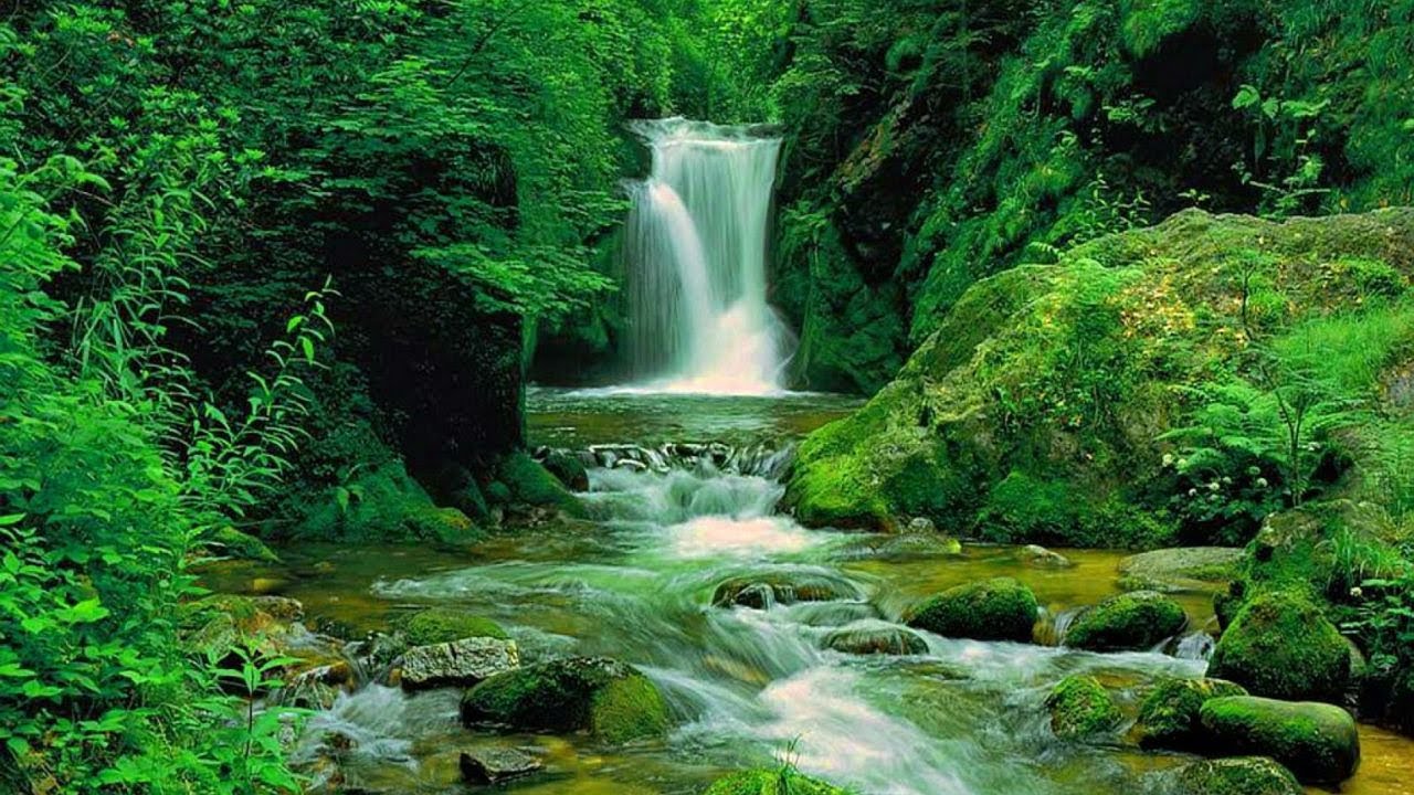 Native American Flute And Stream Sounds | Promoting Relaxation In Both ...
