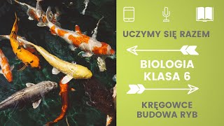 Biologia klasa 6. Kręgowce. Budowa ryb. Uczymy się razem | Doovi