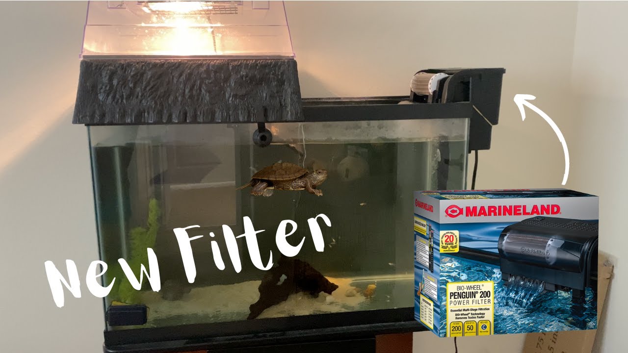 Upgrading Filter|Marineland Penguin 200 - YouTube