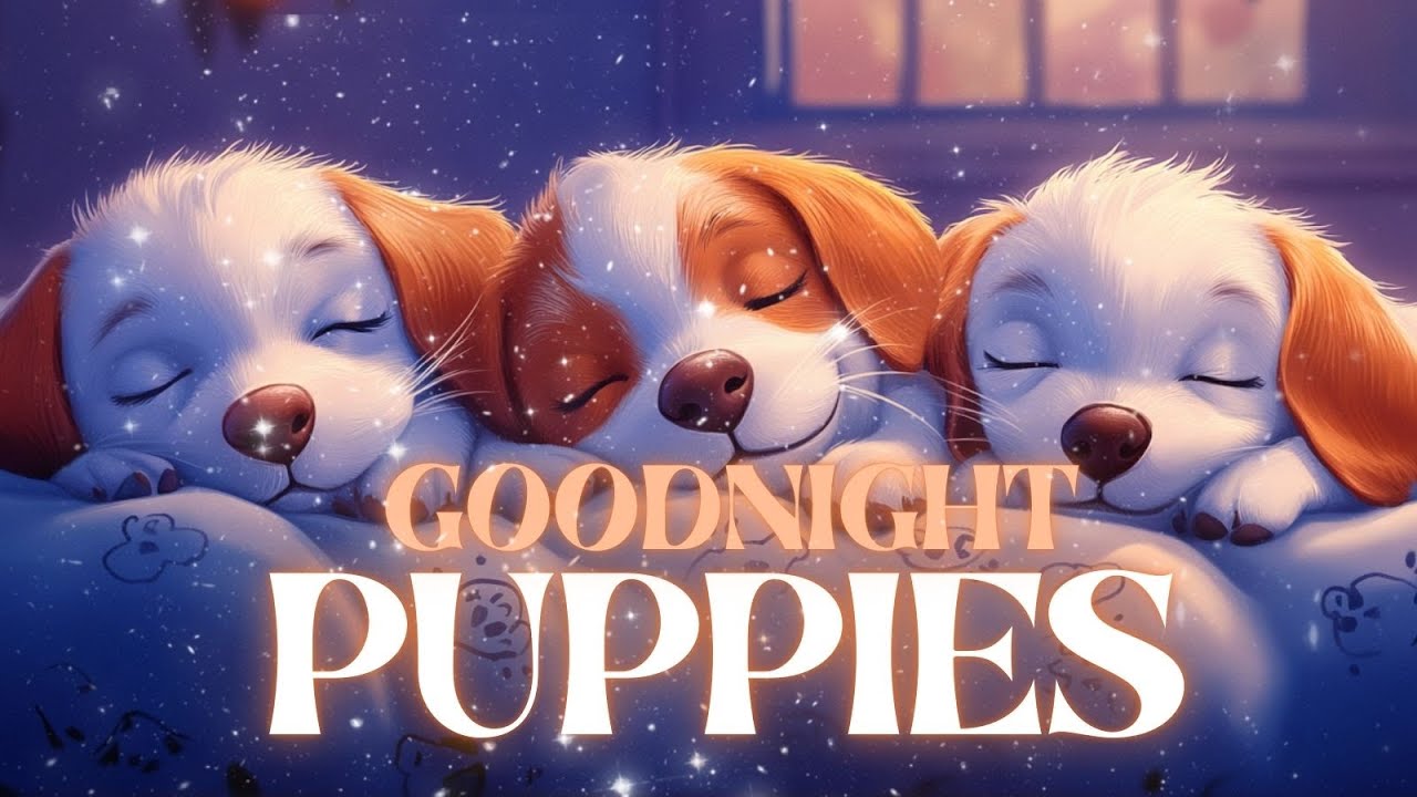 Goodnight, Puppies 🐶🏙️ | 1 hour bedtime story | Bedtime Story for Kids ...