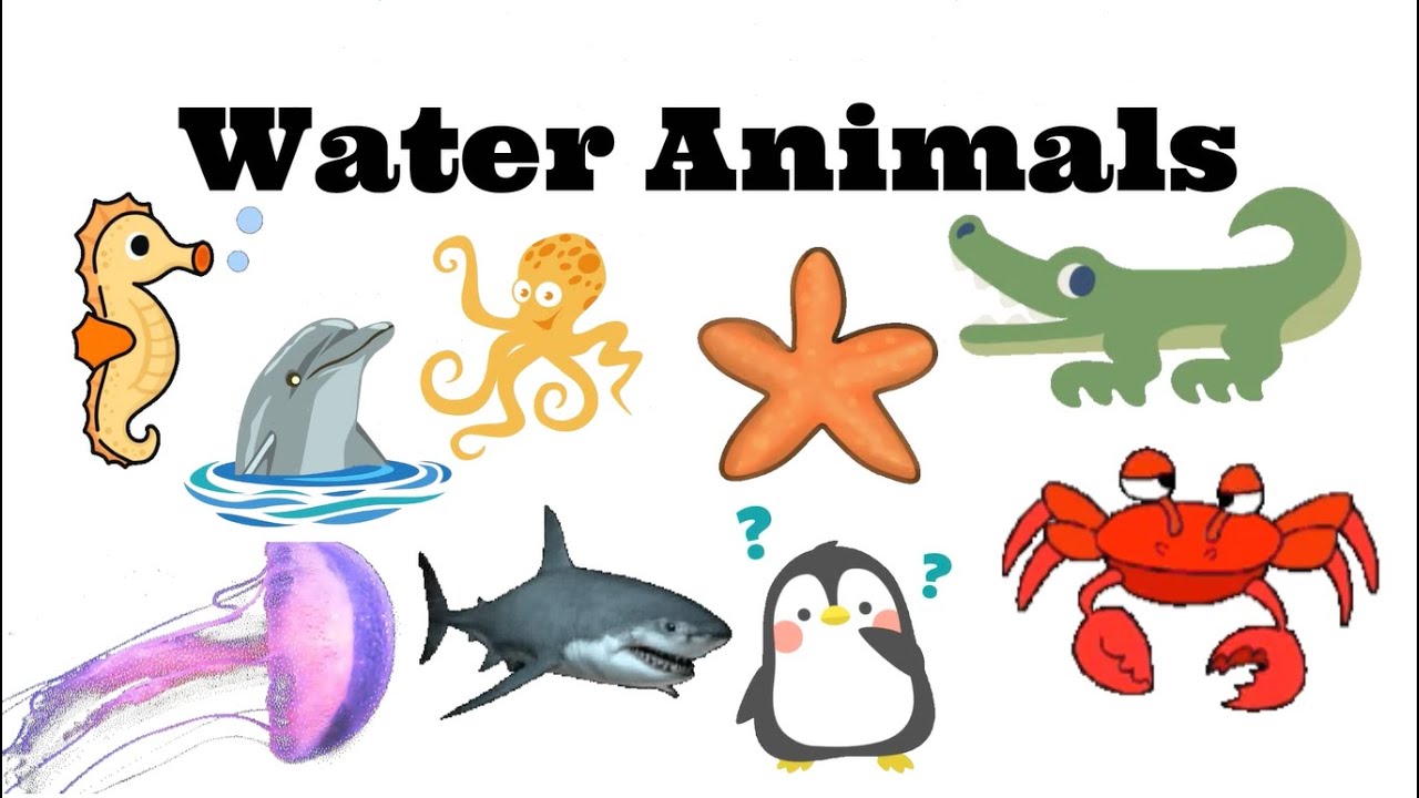 20 Water Animals Name in English with LIVE examples | Sea Animals ...