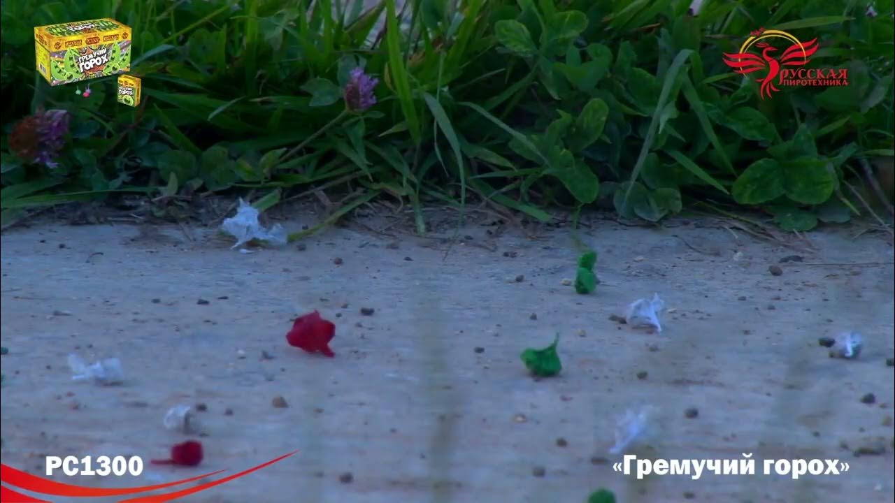 Петарды Гремучий горох РС1300, 50 штук в упаковке, с фитилем - YouTube