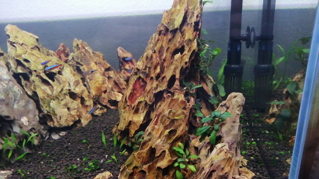 low tech dragon stone scape - YouTube