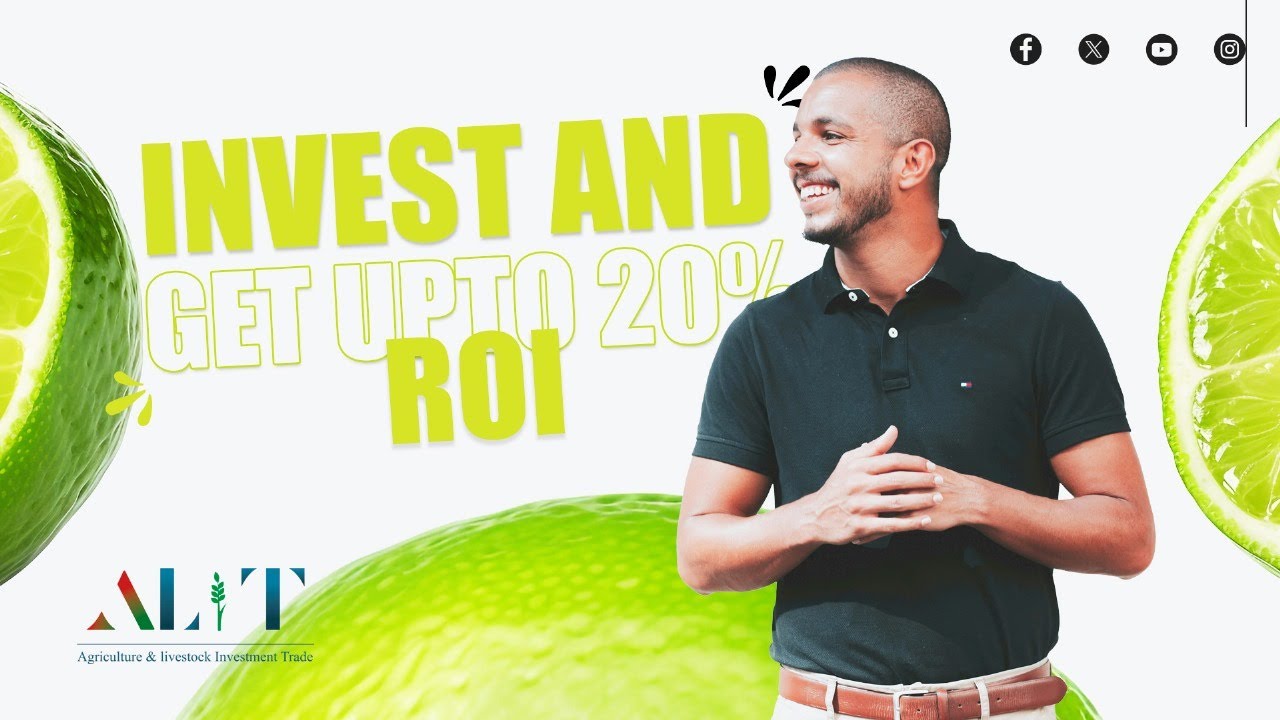 ALIT INVEST SWEET-LIME TRADING - YouTube
