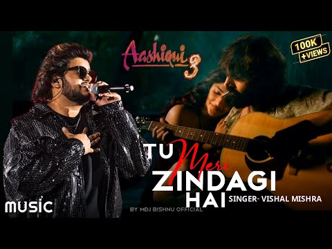 Tu Meri Zindagi Hai (Lofi) | Vishal Mishra | Aashiqui 3 | Sreeleela | Trending | @MdjBishnuOfficial
