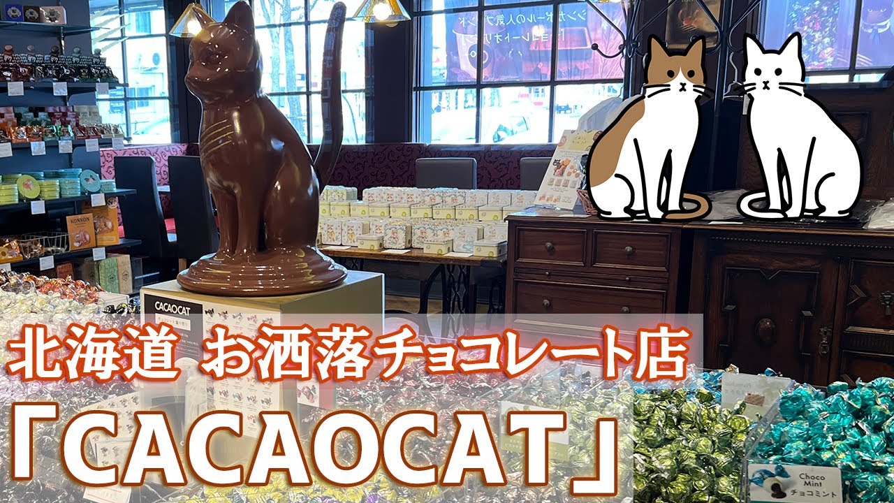 【札幌】猫がモチーフのチョコレート専門店「CACAO CAT」に行ってきた！ - YouTube