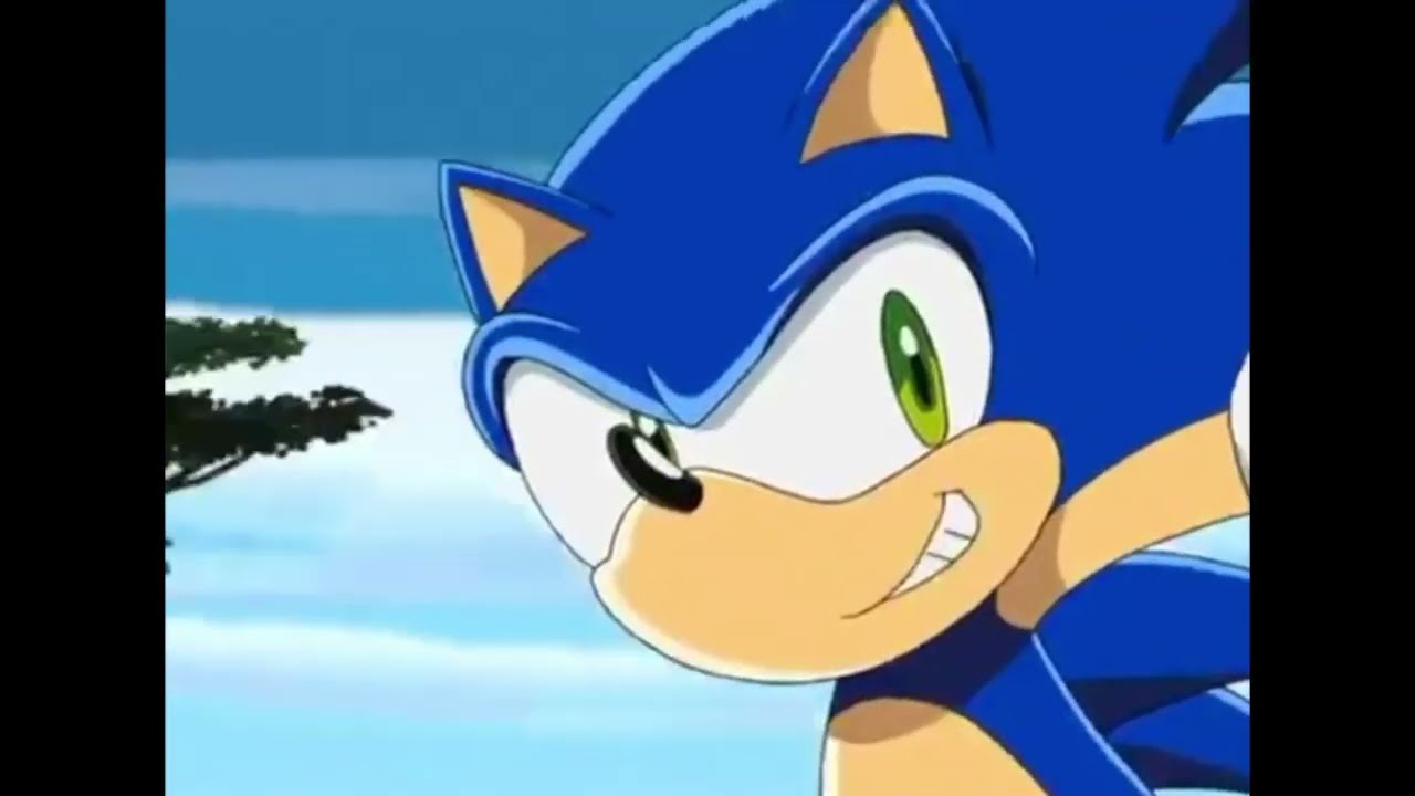 Sonic VS. Cheetah - Sonic X Fandub - YouTube