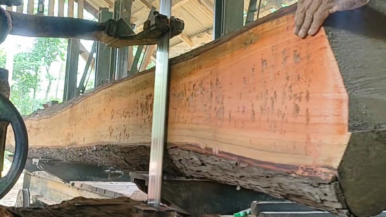 Spectacular cutting of long logs - YouTube