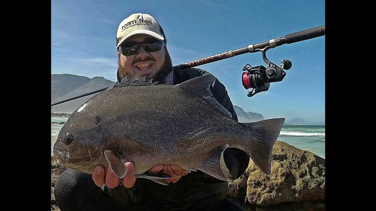 BIG Galjoen on LIGHT tackle - YouTube