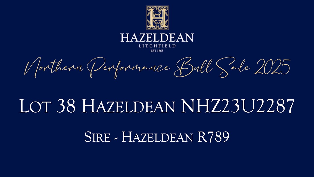 Lot 38 Hazeldean NHZ23U2287 - YouTube