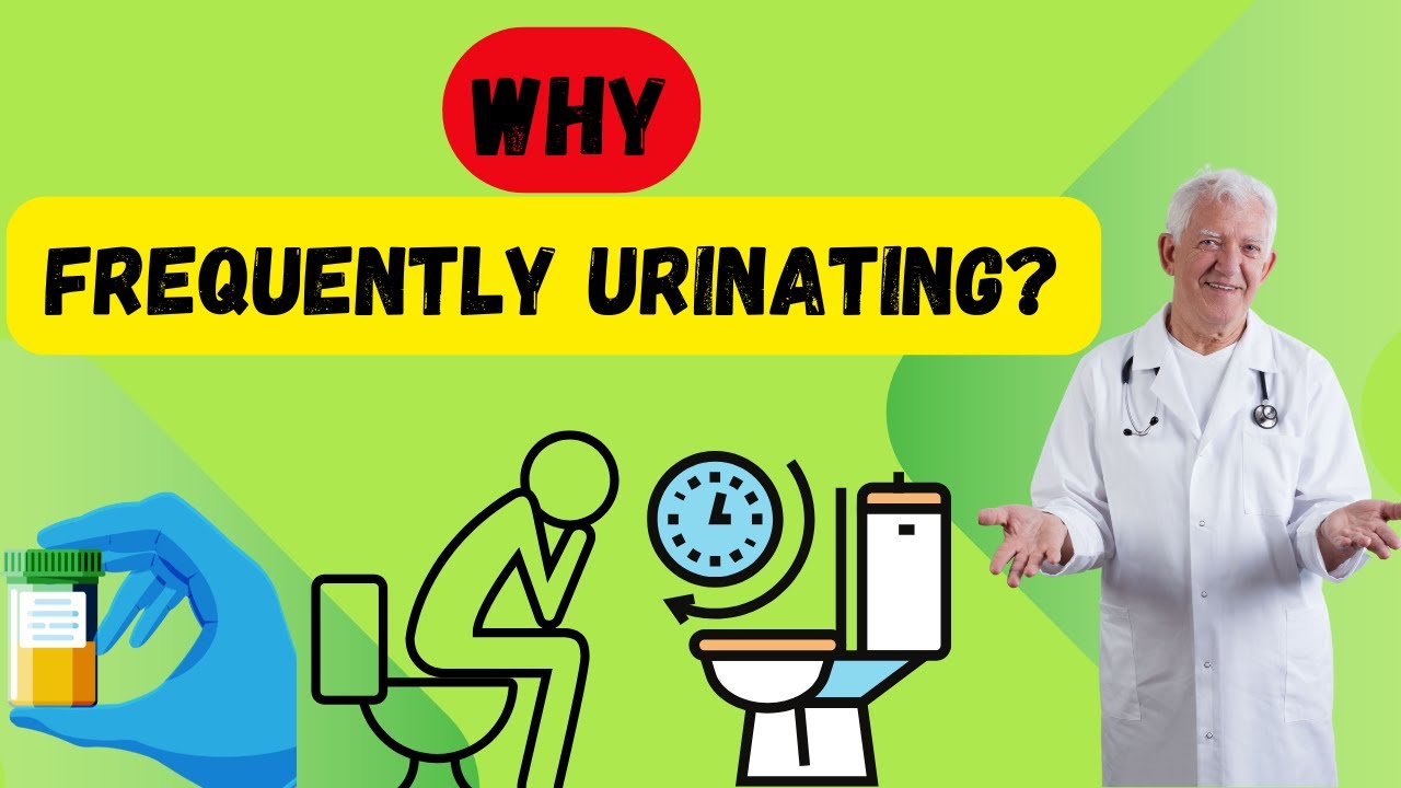 Medical causes of frequent urination - YouTube