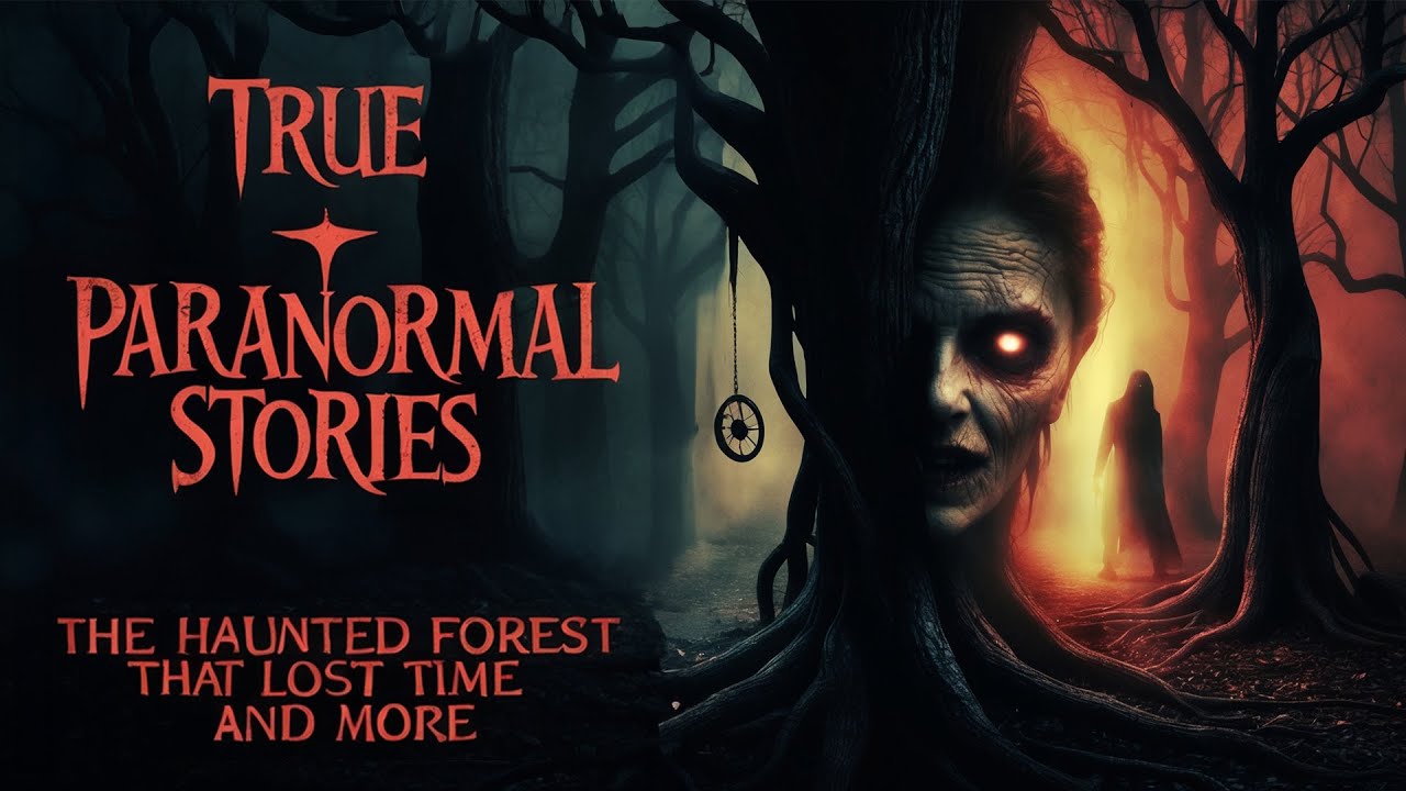 17 True Paranormal Stories | The Haunted Forest That Lost Time And More ...