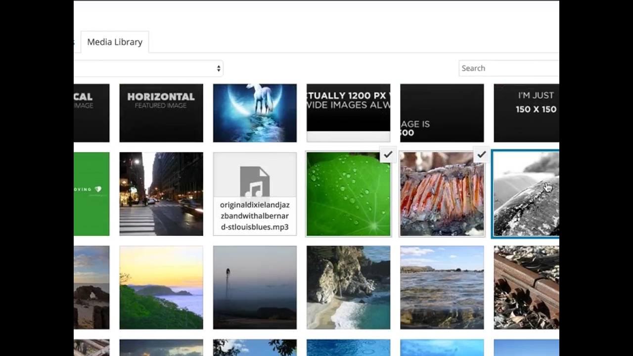 How to Create a Sortable WordPress Gallery - YouTube