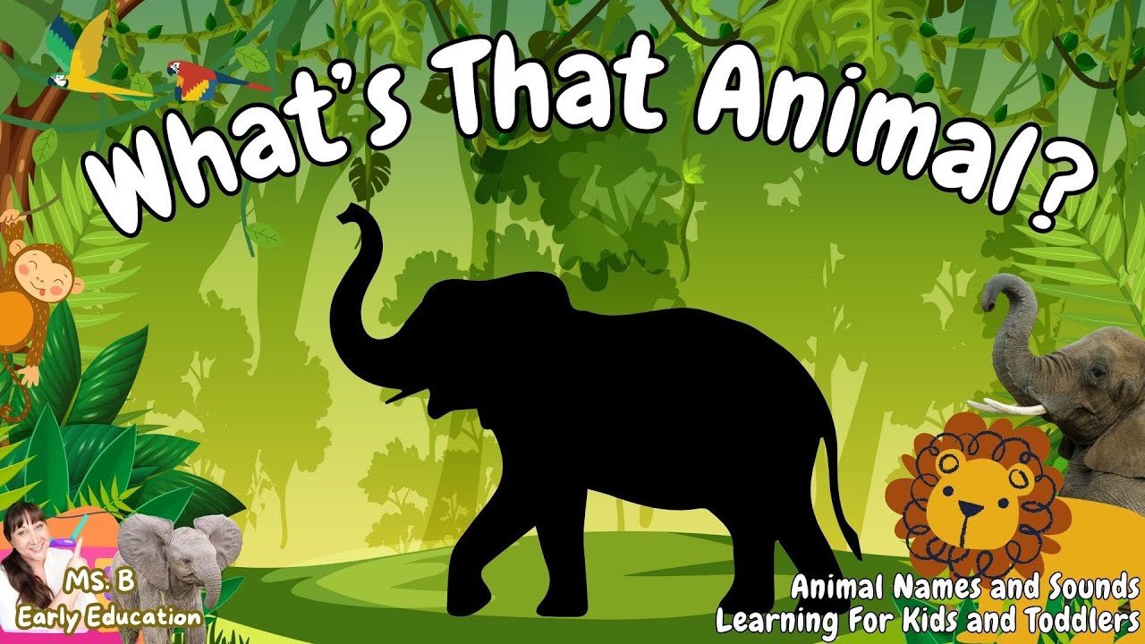 Animals for Kids | 2 Hour Animal Sounds & Names Compilation | Zoo, Wild ...