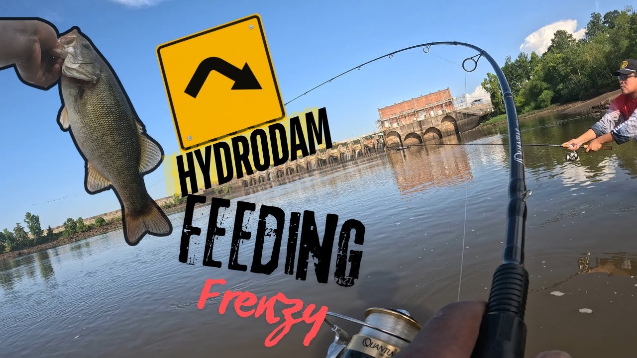 Multi species Fishing at the Hydroelectric Dam - YouTube