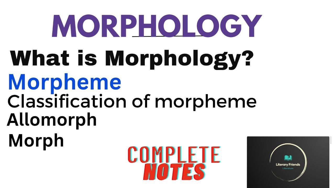 Morphology | Morphology in linguistics | Morpheme | Allomorph | Morph ...
