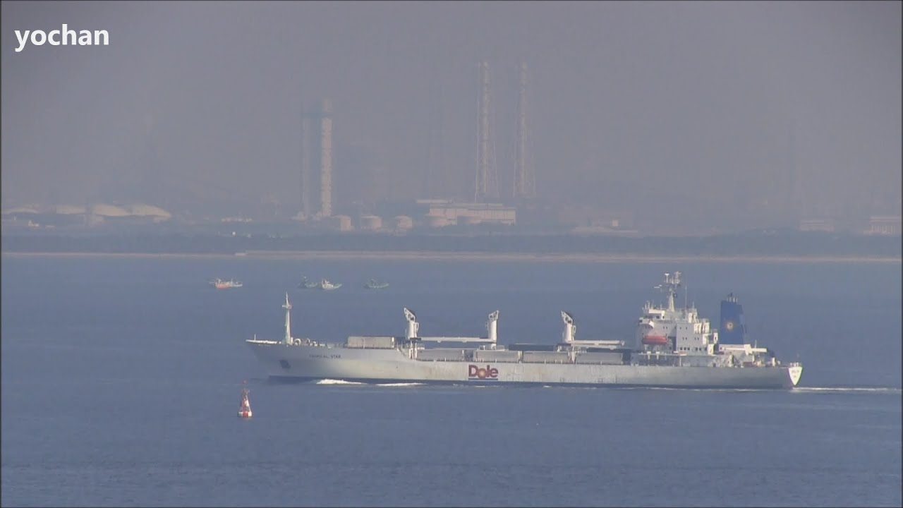 Reefer Ship: TROPICAL STAR (Dole RMS - Reefership Marine Services Ltd ...