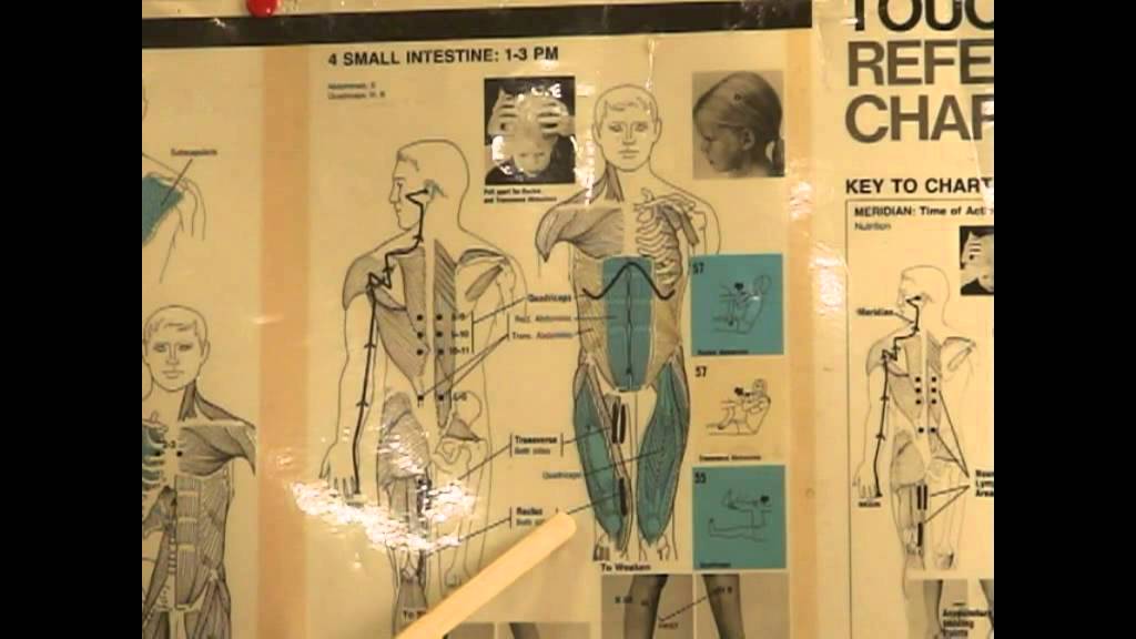 3. Intestines, Ileo-Cecal Valve - YouTube