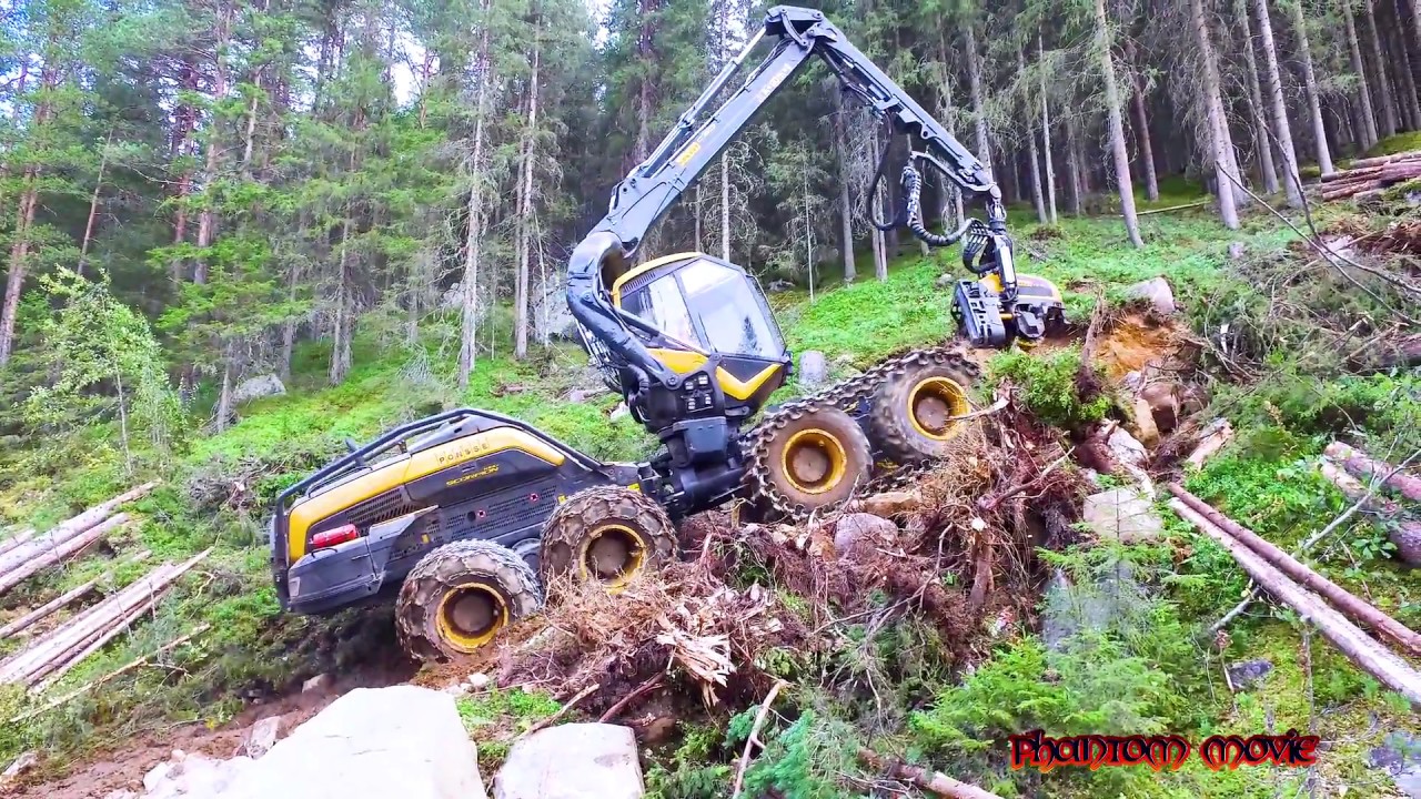 Ponsse ScorpionKing, Ergo, Buffalo, Bear, Beaver in Norway - 4K - YouTube