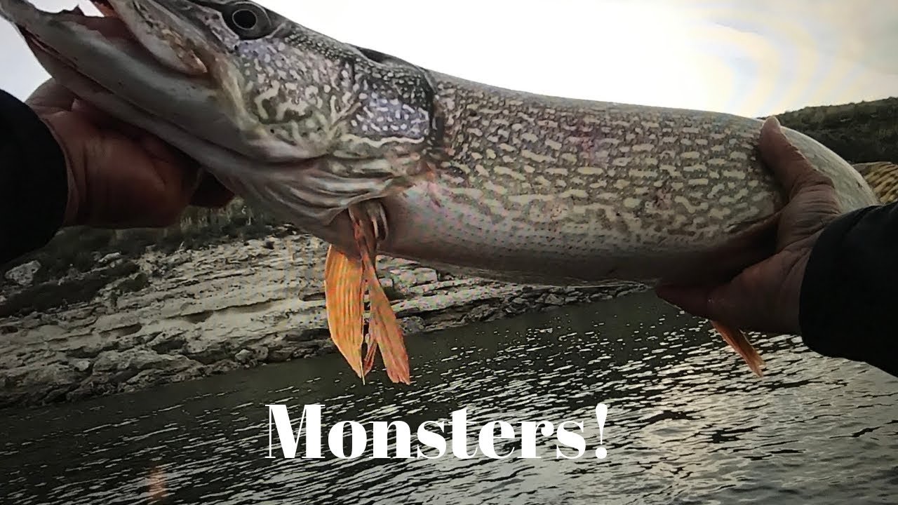 Midwest Monsters Part 1 - YouTube