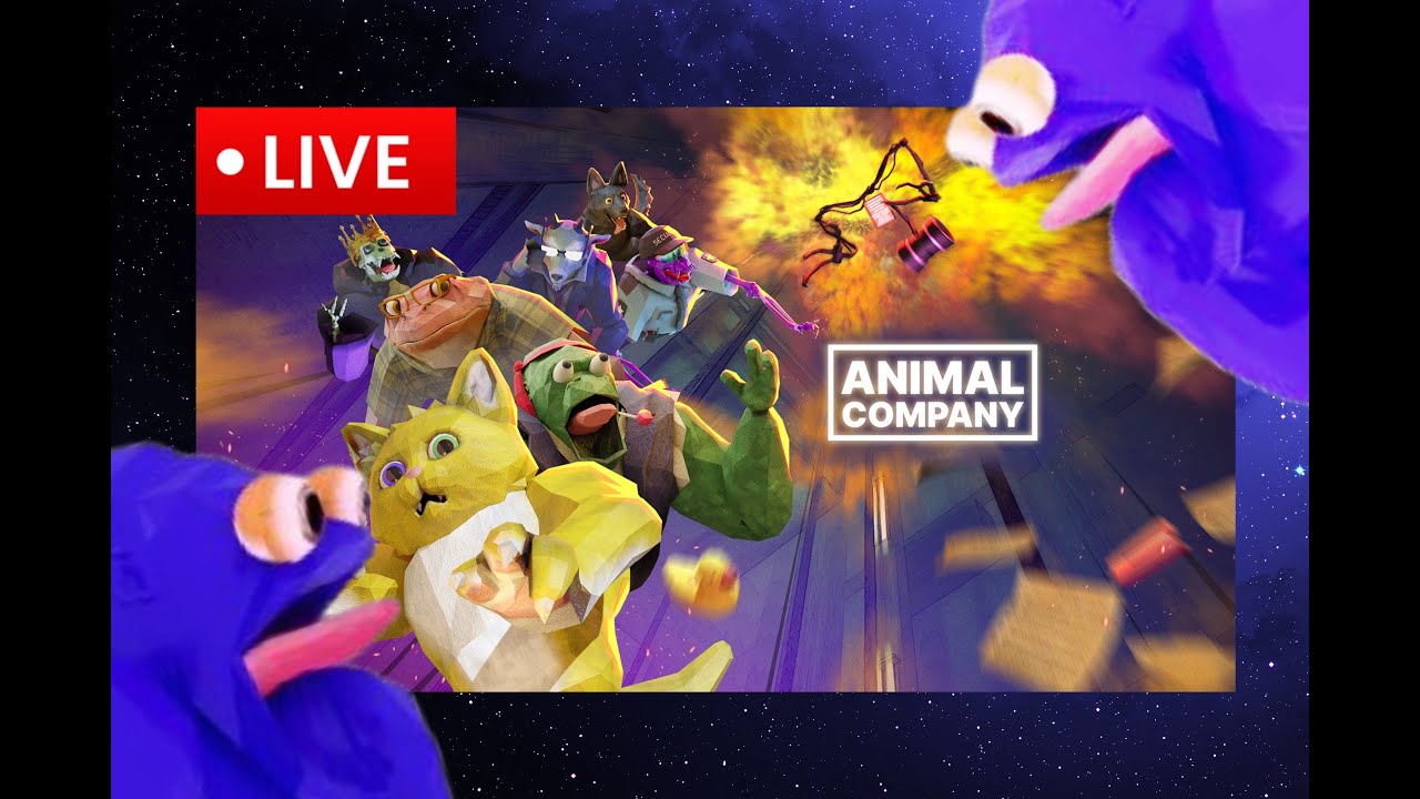 [] ANIMAL COMPANY [] LIVE [] - YouTube