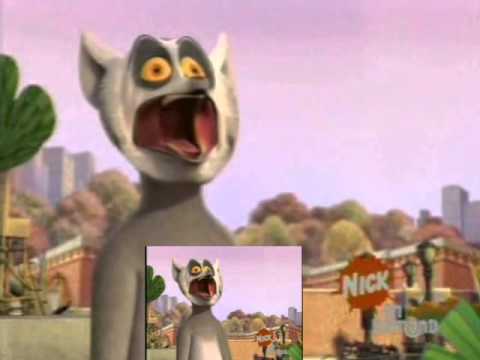 lemur no - YouTube