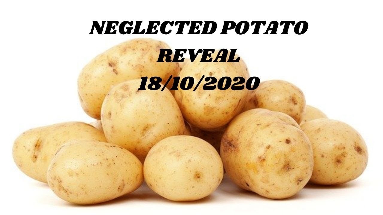 NEGLECTED POTATO REVEAL - YouTube