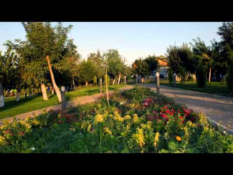 BATMAN PETROL CAFE .wmv