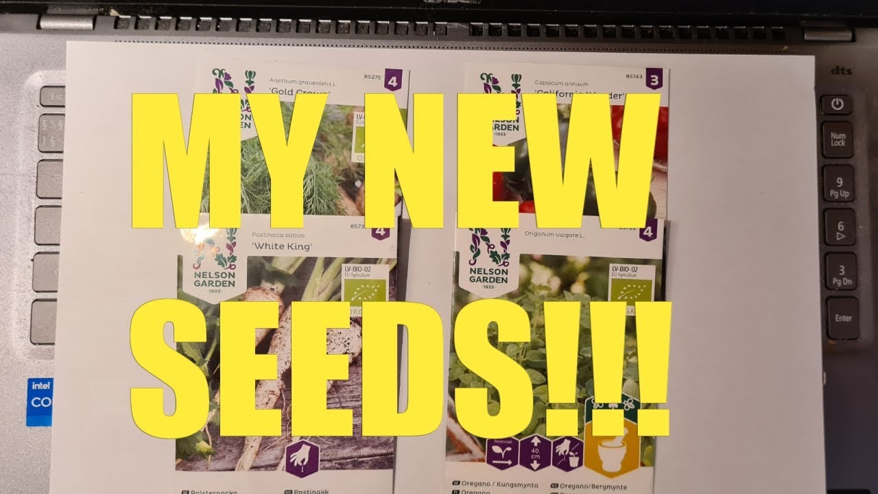My New Seeds!!! - YouTube