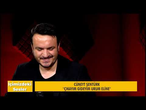 Cüneyt  Şentürk &  Mustafa Önül &  Ali Rıza Erdoğan