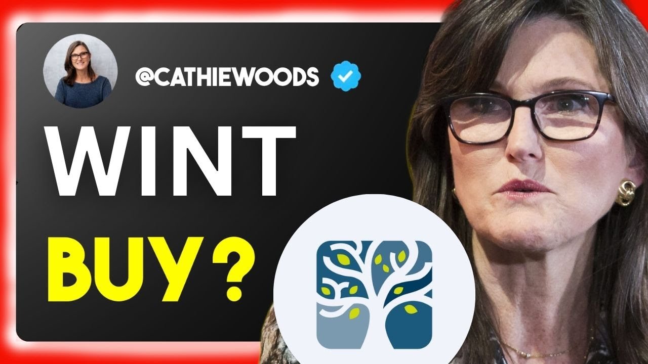 WINT Stock NEWS WEDNESDAY! (quick alert!) Windtree Therapeutics stock ...