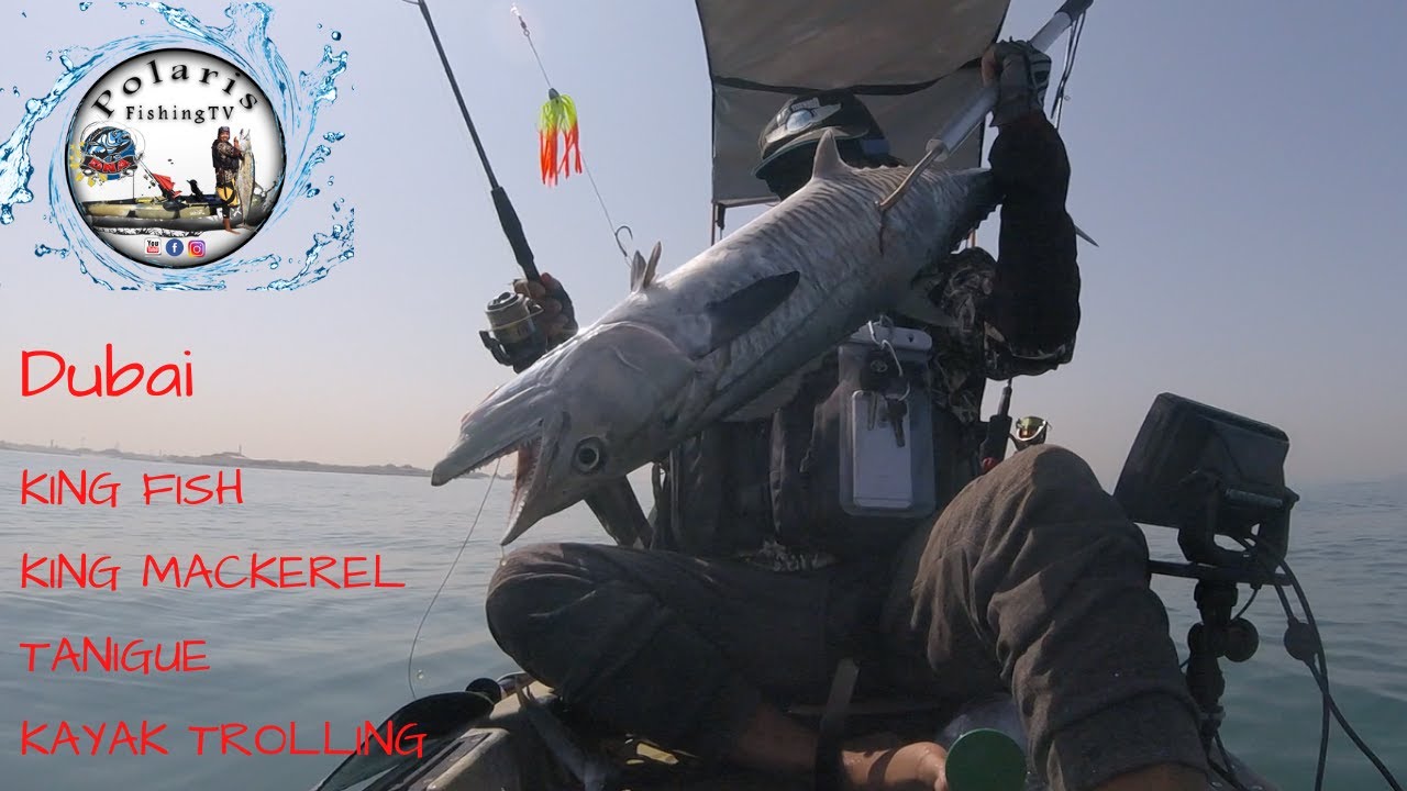 Tanigue or King Fish - Season starts - YouTube