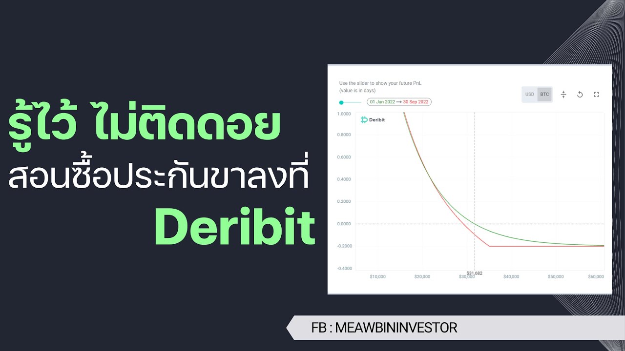 รู้ไว้ ไม่ติดดอย สอนซื้อประกันตลาดขาลงที่ Deribit - YouTube