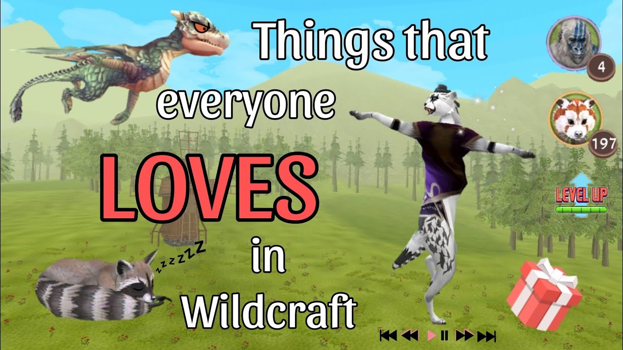 Things that everyone LOVES in wildcraft - YouTube