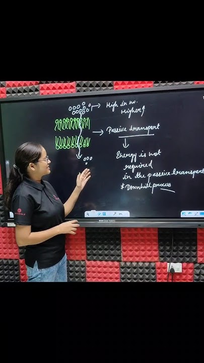 let's learn it #ytshorts #motivation #biology#neetbiology - YouTube