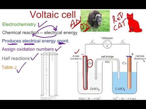 Video #44 Voltaic Cell-parts and operation - YouTube