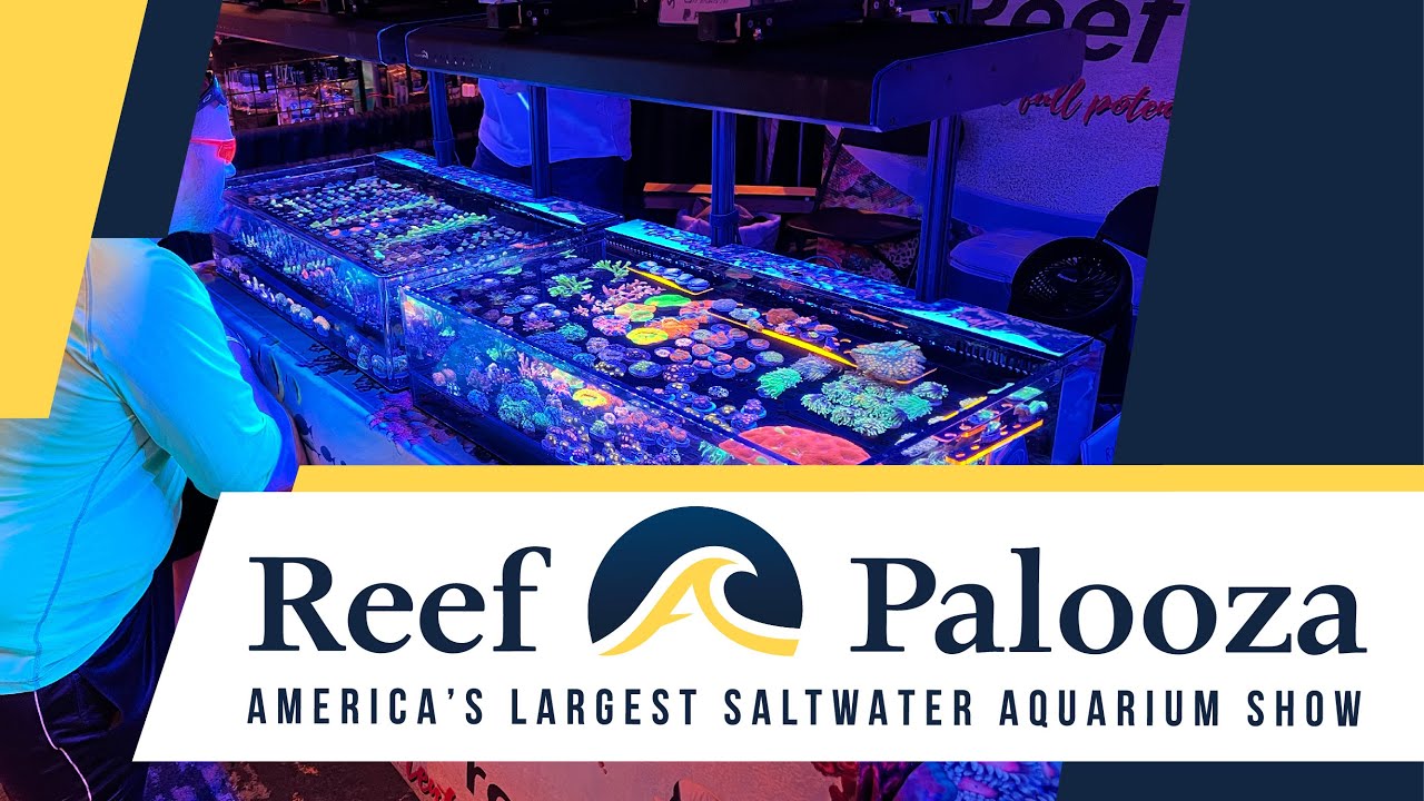 It's Back! Reefapalooza: America's Largest Saltwater Aquarium Show ...