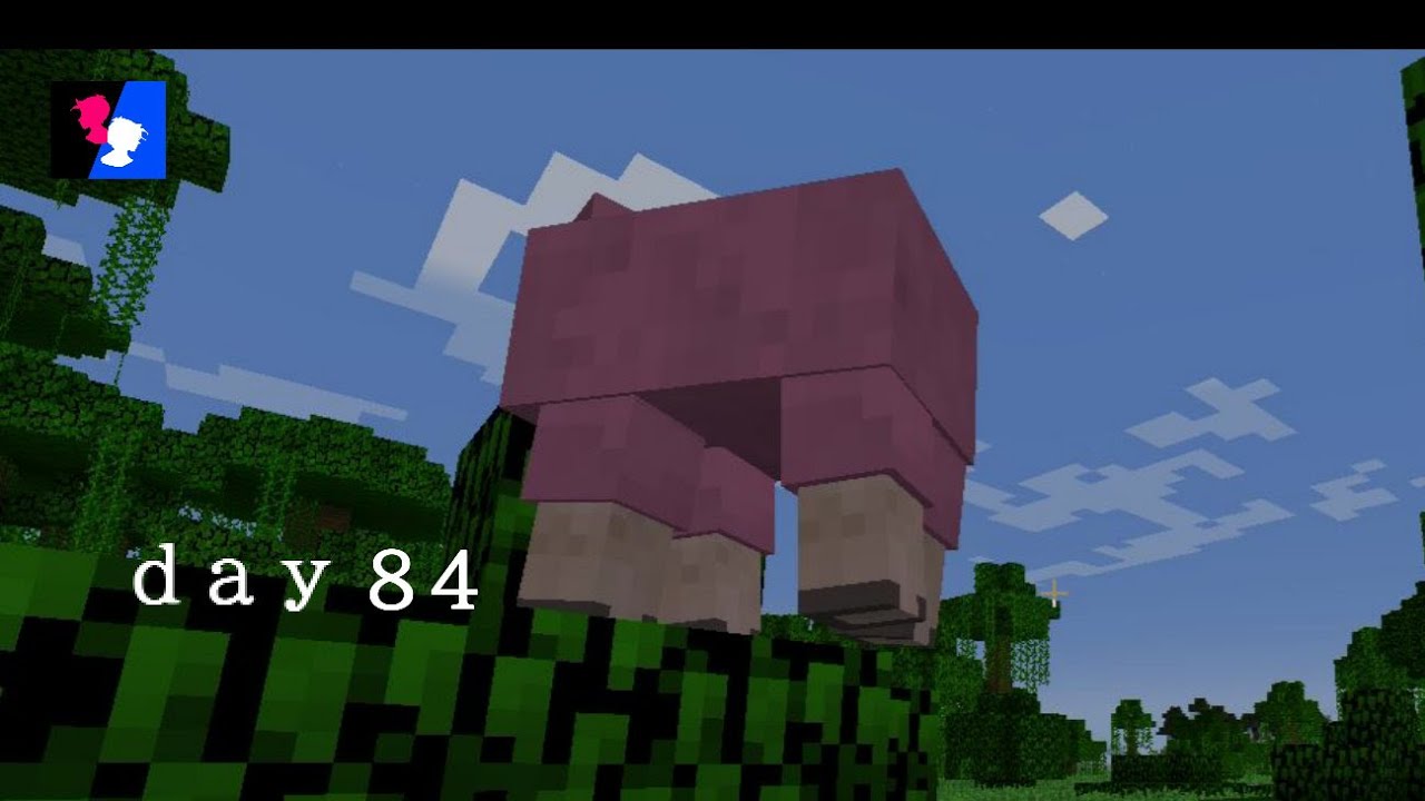 【Minecraft JavaEdition day84】 マイクラでBGM無しの無言サバイバル実況を始めてみました 84日目（仮） - YouTube