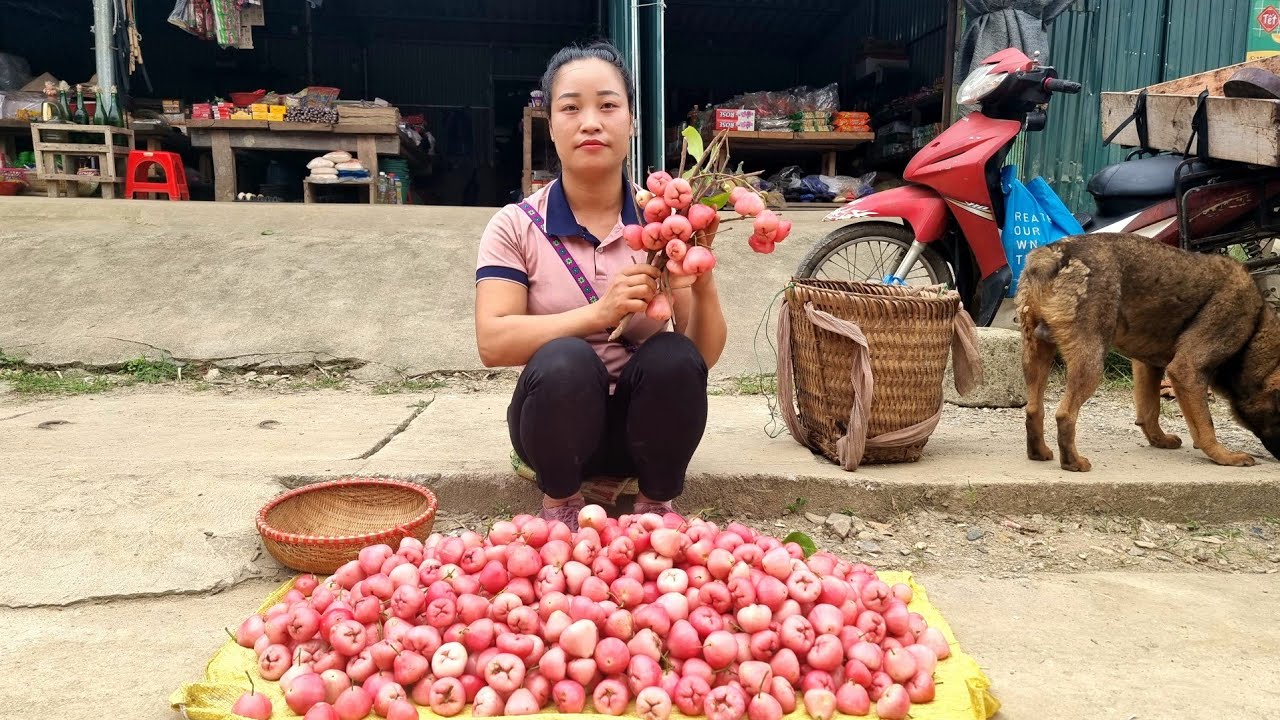 Harvest Results Whip to bring to market sell | Đặng Lưu - YouTube