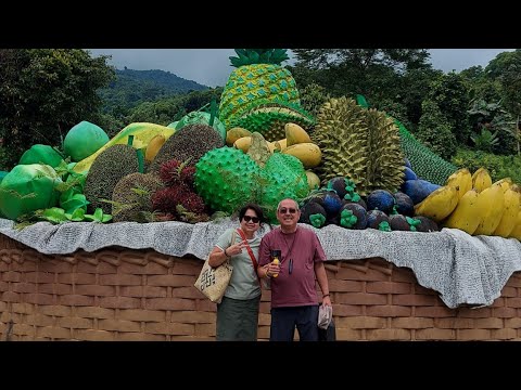Infinity Farm in Baco, Oriental Mindoro - YouTube