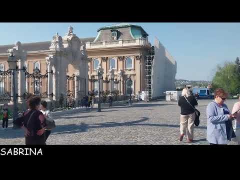 BUDAPEST. IL DANUBIO E IL PALAZZO.