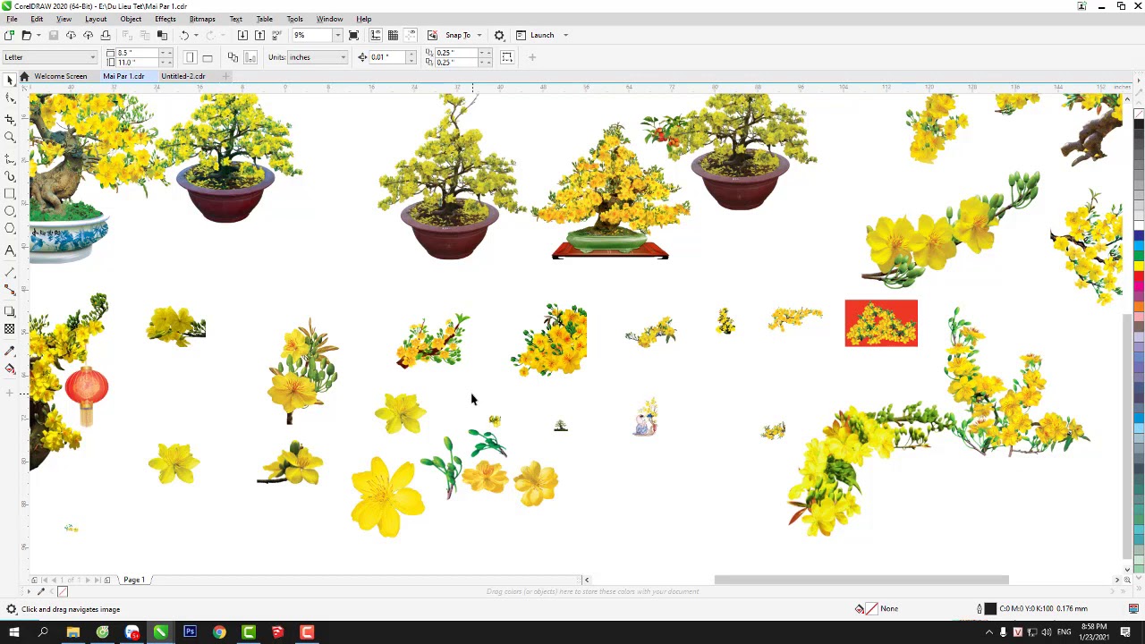 Mai Par 1 - Hoa Mai PNG - Vector hoa Mai - Vector Corel - YouTube