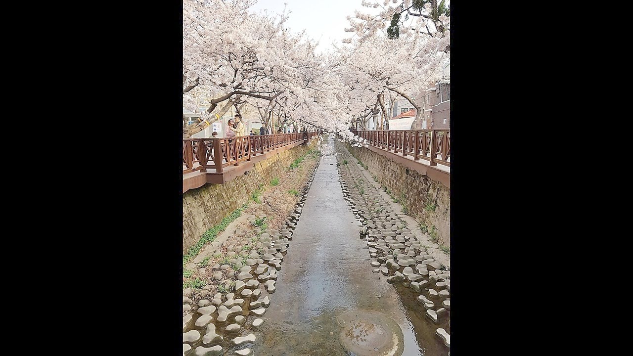 Best Tourist Attractions you MUST SEE in Masan, South Korea | 2019 ...